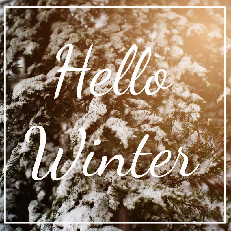 Text `Hello Winter` on the Background of Snowy Trees at Sunset Stock ...