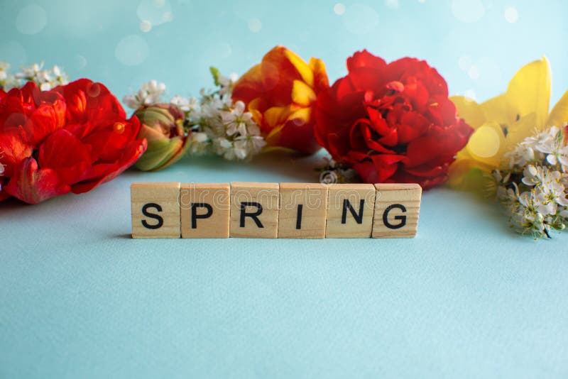 Text with the Inscription Spring. Colorful Flowers All Around Stock ...