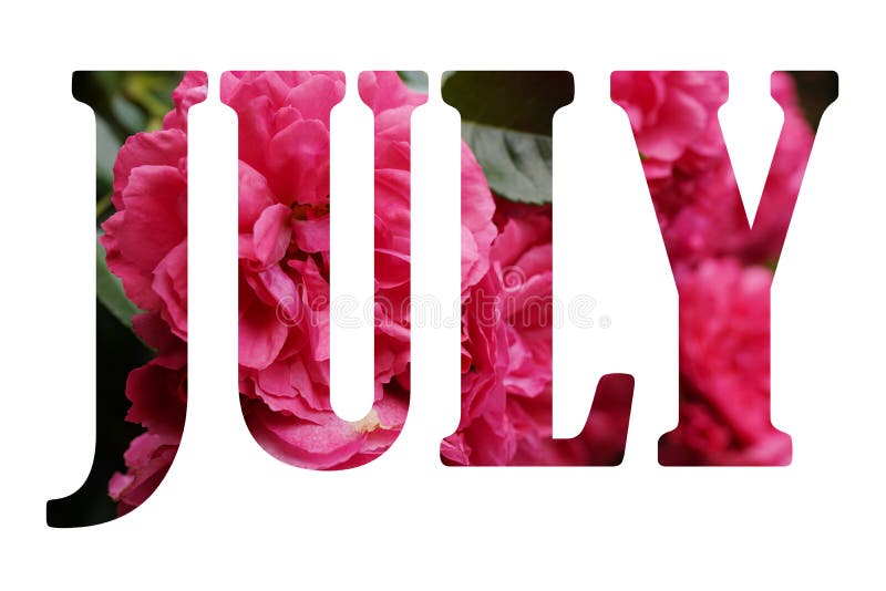 Text JULY from Nature Flowers Background Isolated on White Stock Image ...
