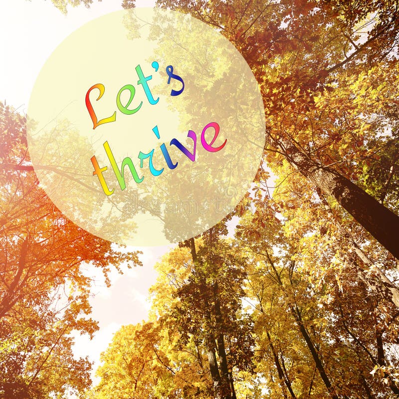 Text Let`s thrive stock photo. Image of delivery, believe - 231563740