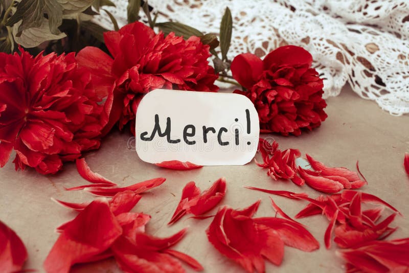 Text - merci stockbild. Bild von danke, element, geburtstag - 54435567