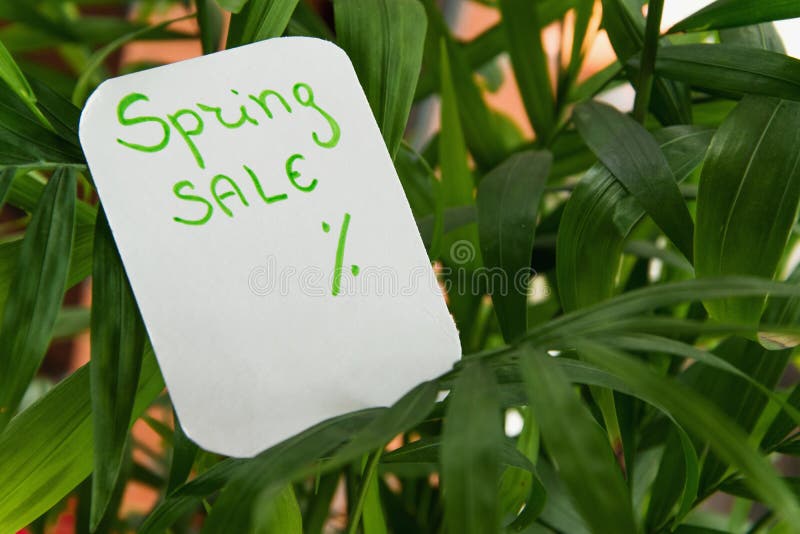 Text Message for Spring Sale, Space for Text Stock Photo - Image of ...
