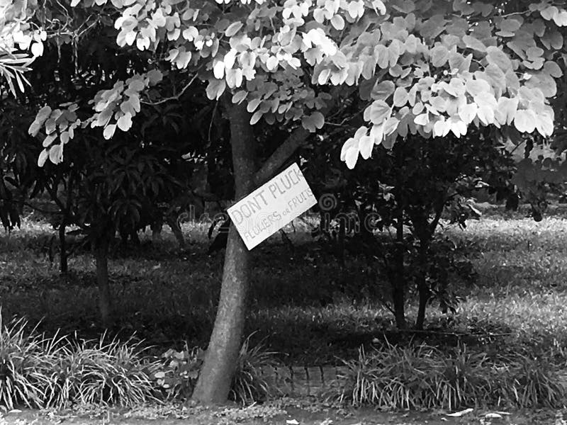 Text in a modern eden stock photo. Image of park, adam - 134877970