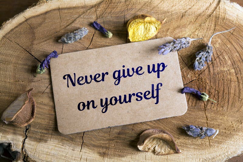 Never give up on yourself stock photo. Image of inspiration - 103408806