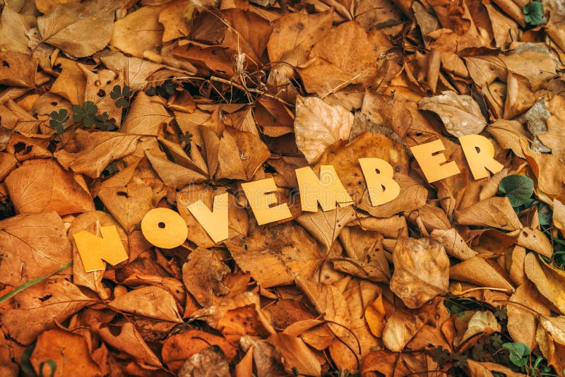 The Text November on the Fallen Yellow Leaves Stock Image - Image of ...