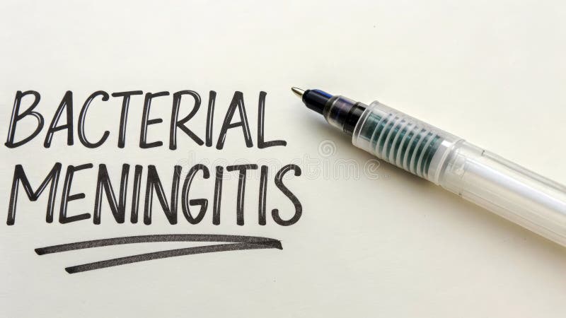 Meningitis Disease Diagram Medical Science Stock Illustration ...