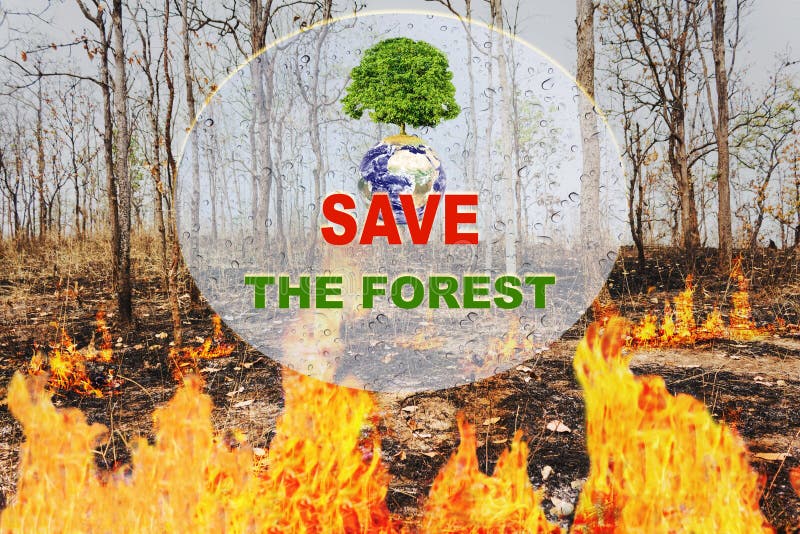 Text Save The Forest And Tree On Earth With Background Of Wildfire ...