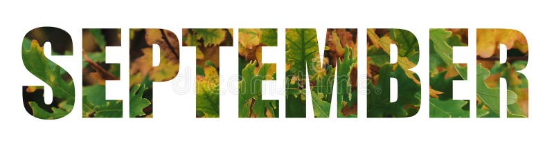 Text September on White Background Stock Illustration - Illustration of ...