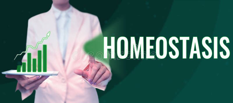 Text Sign Showing Homeostasis. Conceptual Photo the Tendency Toward a ...