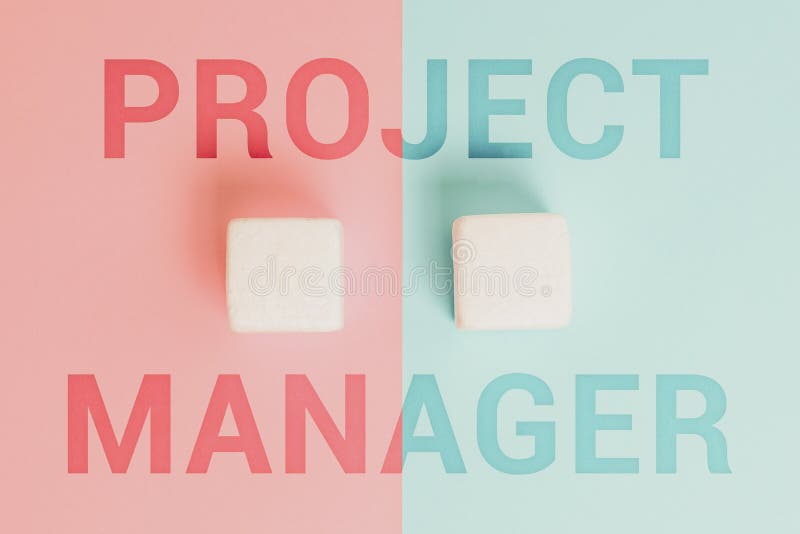 Text Showing Inspiration Project Manager. Business Showcase Overall ...