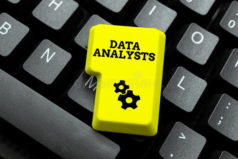 Text Sign Showing Data Analysts. Business Showcase Programmer Design and Create Report ...