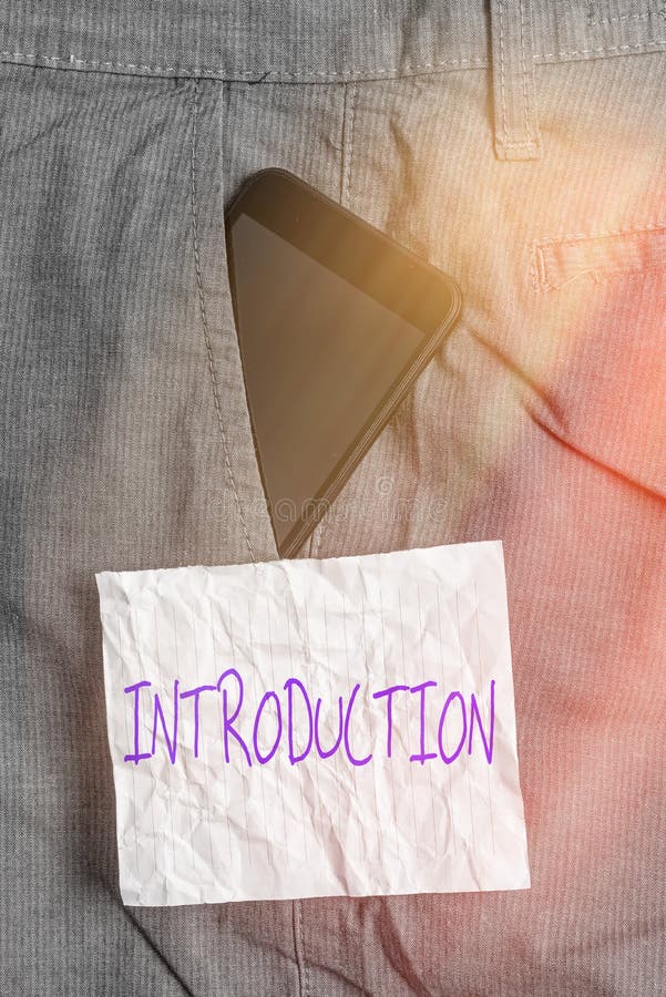 The Process Of Introducing An Animal Into Anesthesia Stock Image ...