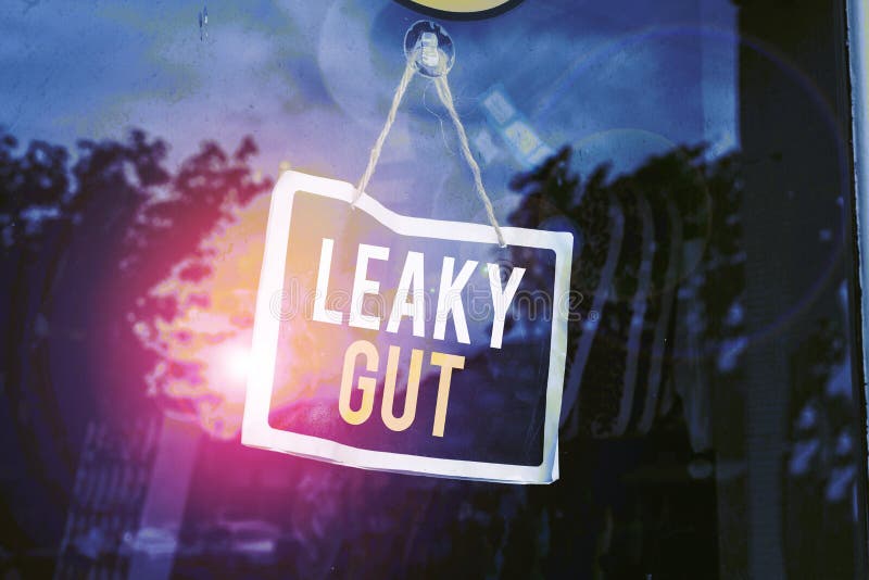 Text Sign Showing Leaky Gut. Conceptual Photo a Condition in Which the ... Text Sign Showing Leaky Gut. Conceptual Photo a Condition in Which the ...