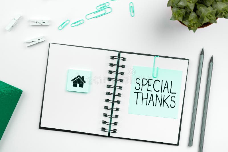 Text Sign Showing Special Thanks. Business Overview Expression of ...
