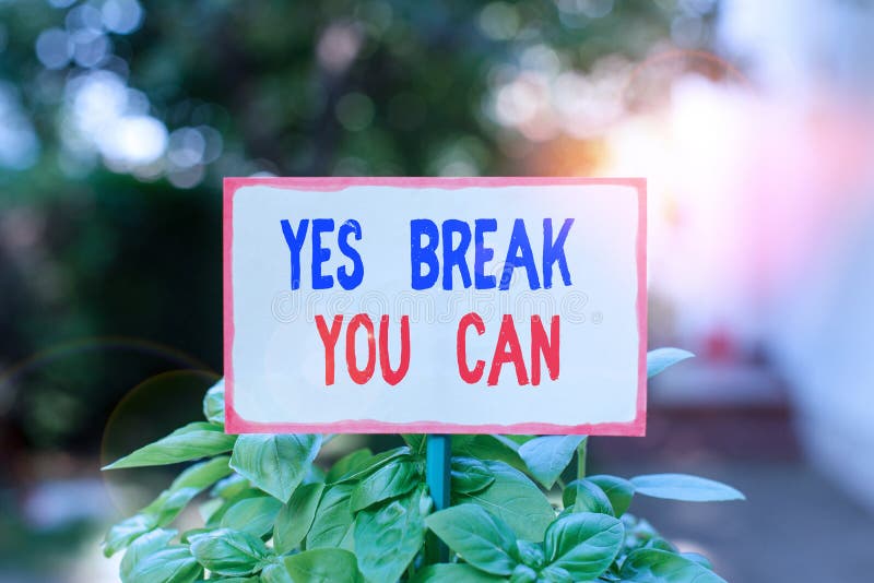 Text Sign Showing Yes Break You Can. Conceptual Photo Positivity ... Text Sign Showing Yes Break You Can. Conceptual Photo Positivity ...