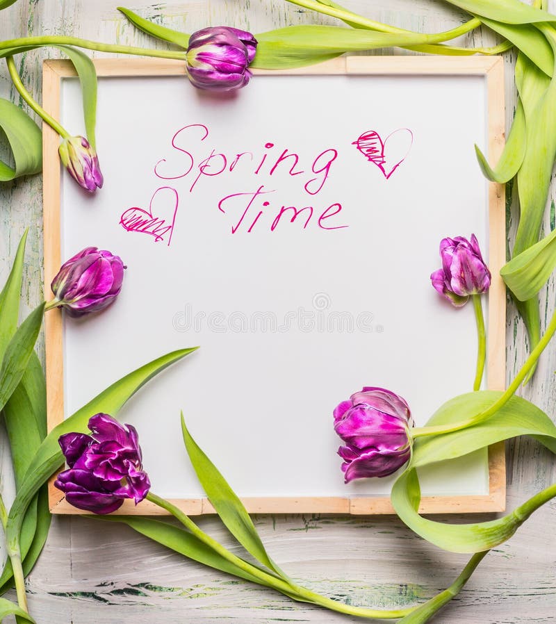 Text Springtime On White Chalkboard With Purple Lovely Tulips Flowers ...