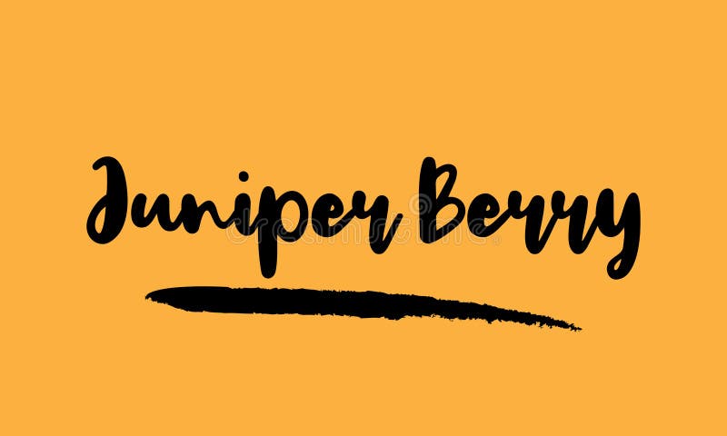 Juniper Berry Text Typography Stylish Lettering Phrase Vector Design ...