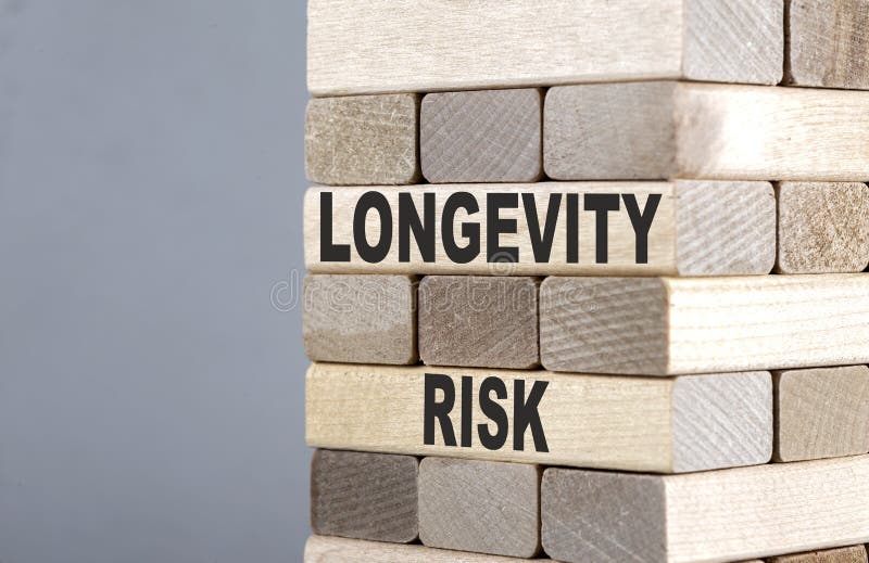 The Text on the Wooden Blocks LONGEVITY RISK Stock Image - Image of ...