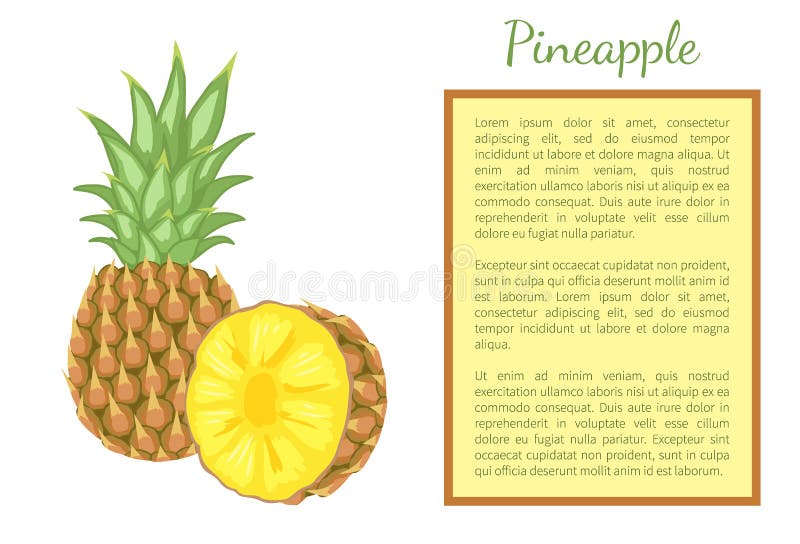 Texte De Cadre D'affiche De Fruit De Plante Tropicale D'ananas ...