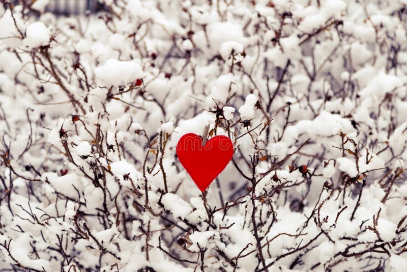 Textile Red Heart on Snowy Tree Branch Stock Photo - Image of beautiful ...
