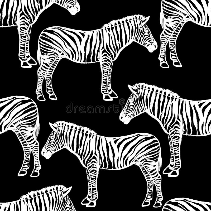 Seamless Black and White Pattern with African Zebras Stock Illustration ...
