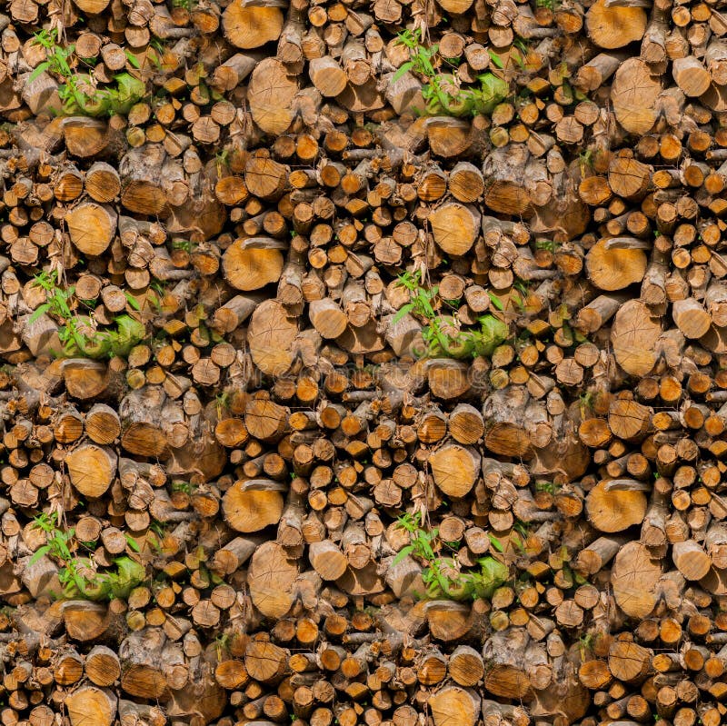 Textiles, Wallpapers, Packaging. the Logs - the Cut Logs Lie on Top of ...