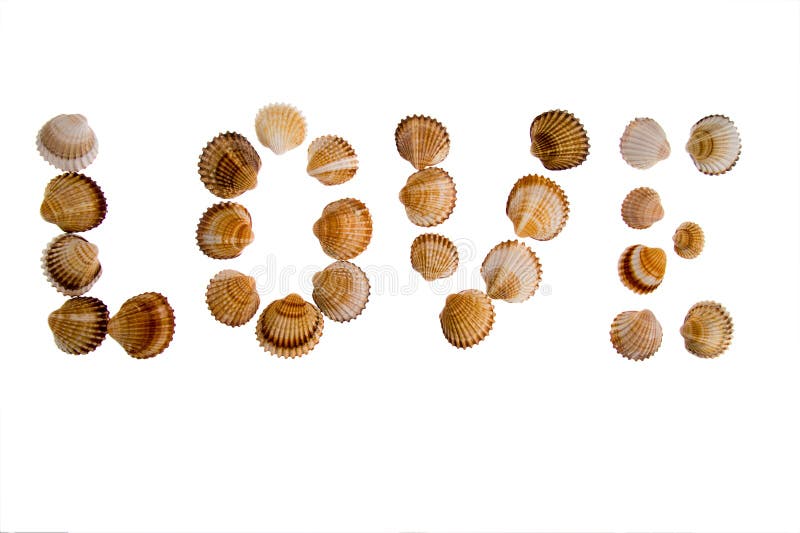 Texto Aislado Del Amor Del Shell Foto de archivo - Imagen de aislado ...