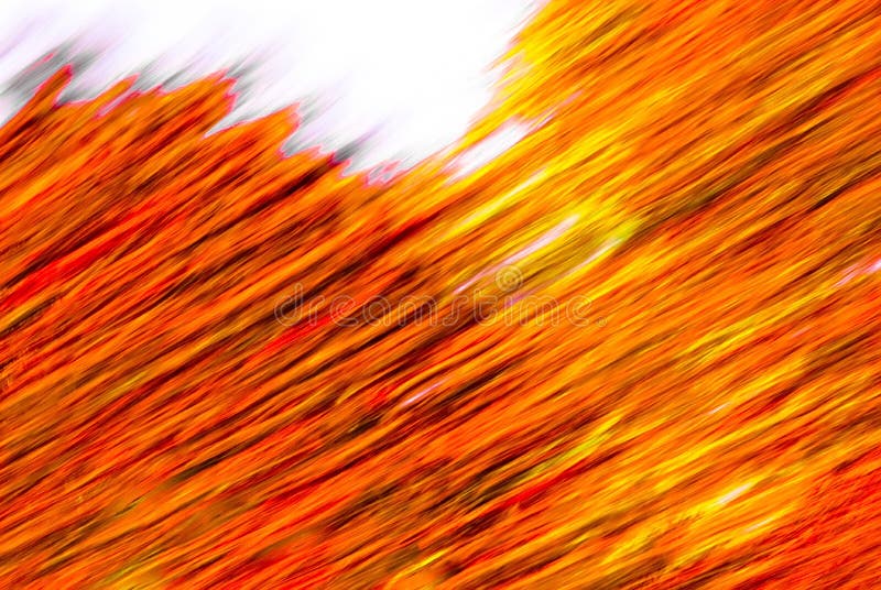 Textura anaranjada #236 imagen de archivo. Imagen de creativo - 2944607