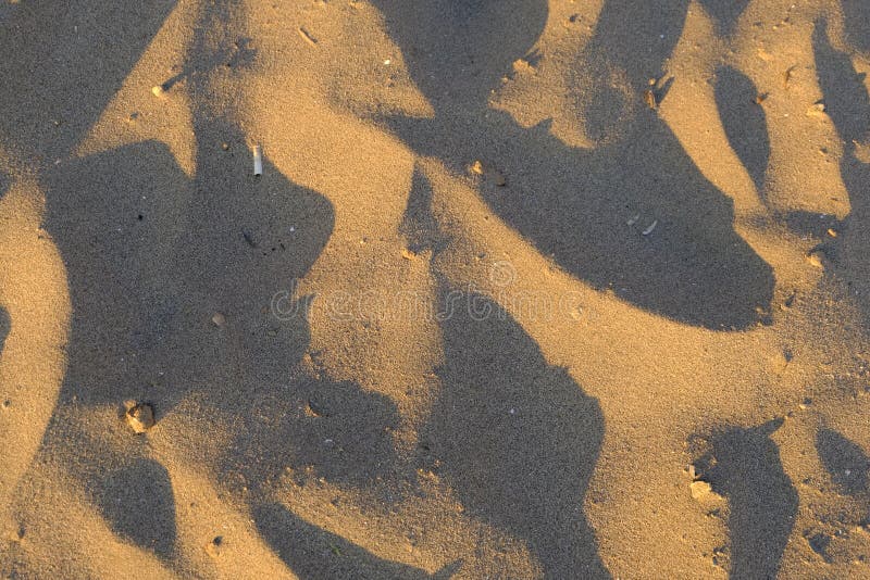 Textura arenosa ondulada foto de archivo. Imagen de figura - 156043678