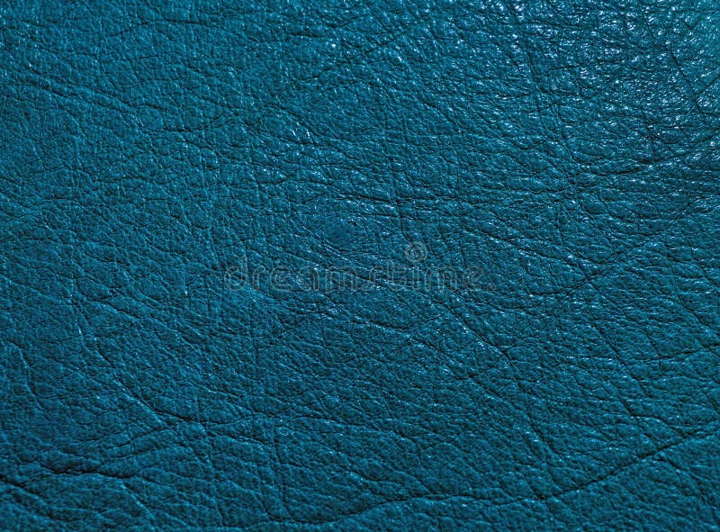 Textura Azul Marino De La Piel Fotos De Stock - Descarga 170 Fotos ...