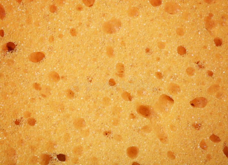 Textura da esponja foto de stock. Imagem de esponja, fundos - 31413336