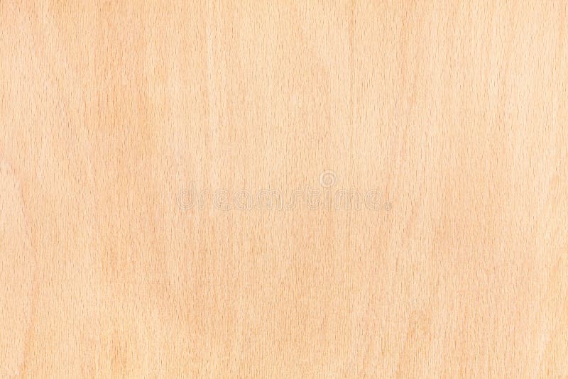 Textura De Madeira De Baviera Da Faia Do Close-up Imagem de Stock ...