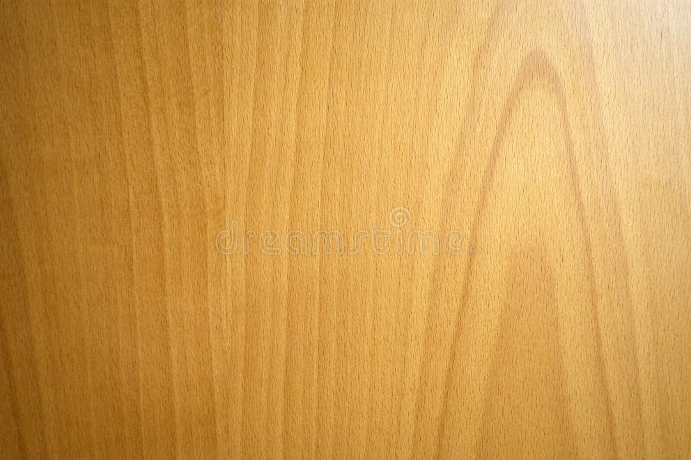 Textura da madeira de faia foto de stock. Imagem de assoalho - 4449658