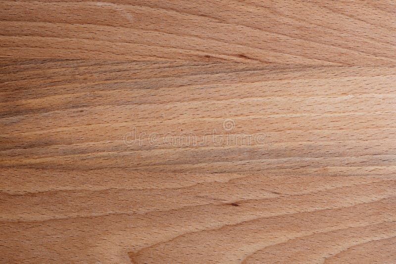 Textura Da Madeira De Faia Fotos De Stock - Baixe 927 Fotos Royalty Free