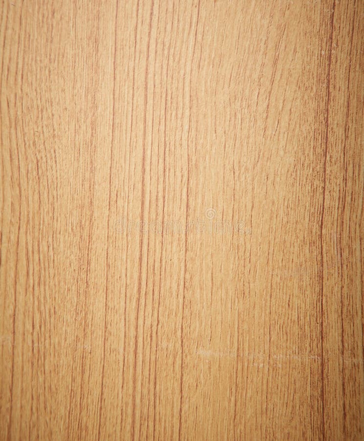 Textura da madeira de faia foto de stock. Imagem de amostra - 77286446