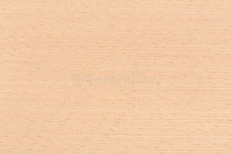 Textura Da Madeira De Faia No Macro Imagem de Stock - Imagem de ...