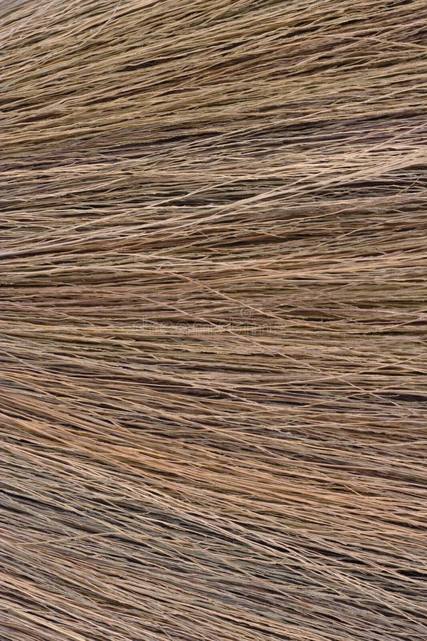Textura da palha imagem de stock. Imagem de textura, secado - 4971965