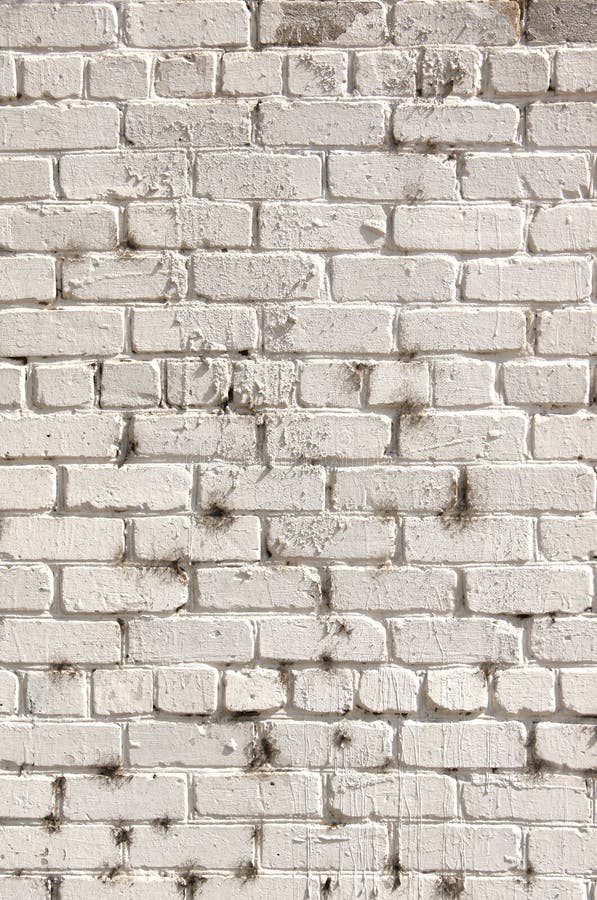 Textura Da Parede Velha De Tijolos E Do Reboco Rachado De Cor Cinzenta