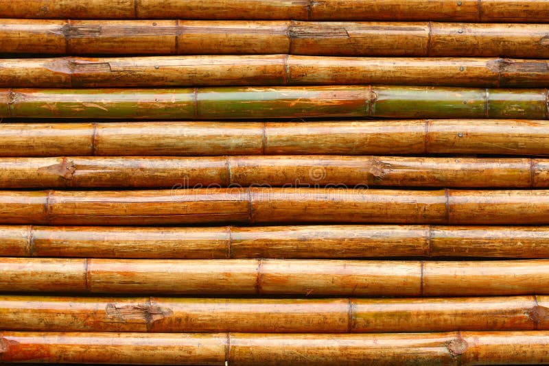 Textura de bambu imagem de stock. Imagem de tosse, filial - 21303389