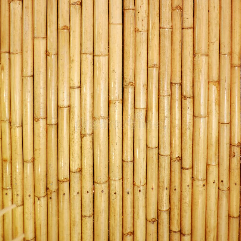 Textura de bambu da cerca foto de stock. Imagem de linha - 52472576