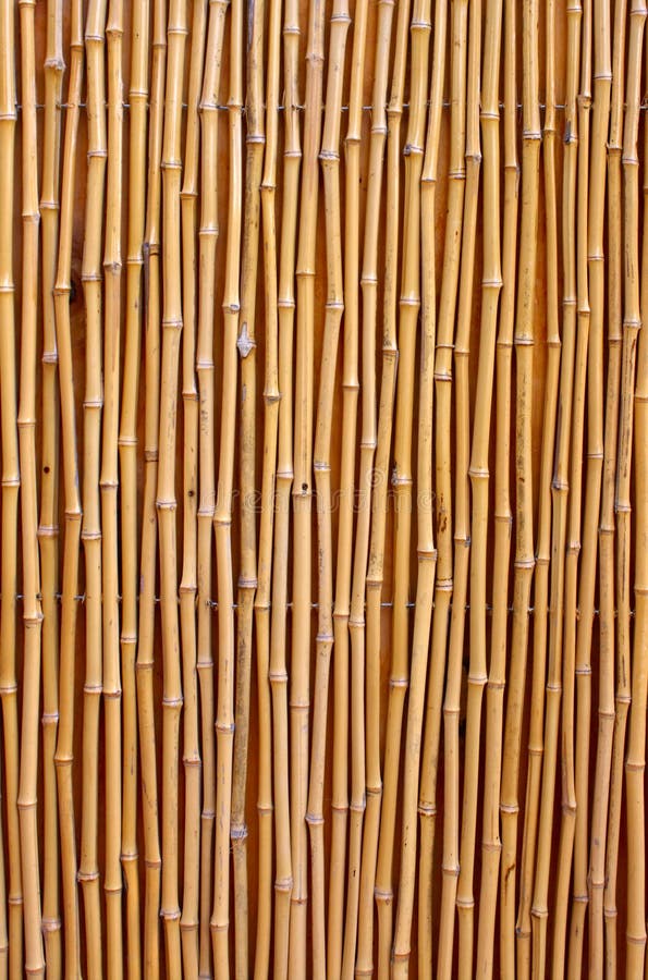 Textura natural de bambu imagem de stock. Imagem de textura - 6335843