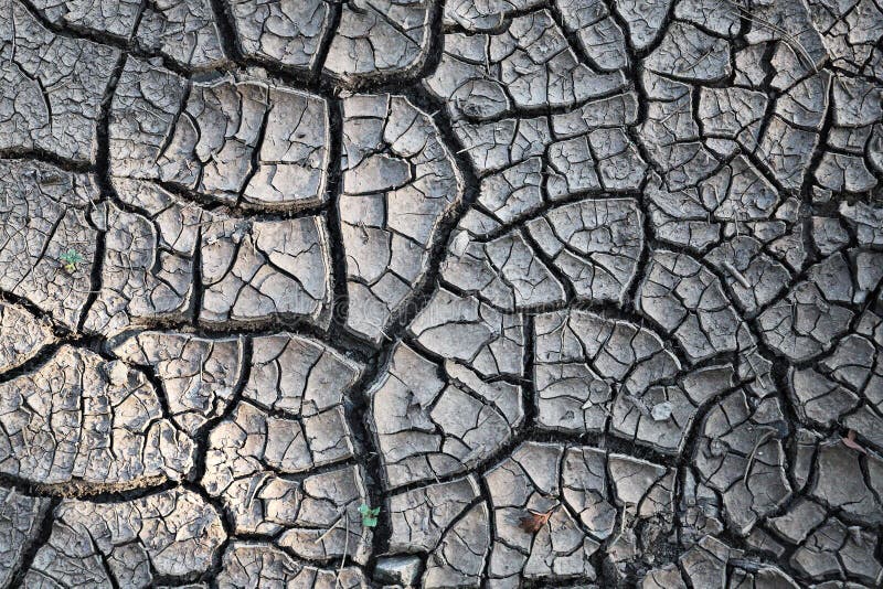 Textura De Barro Natural Craqueado Foto de archivo - Imagen de primer ...