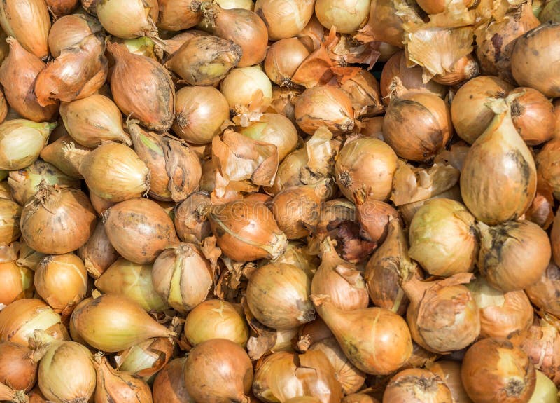 Textura De Cebolla En El Mercado Foto de archivo - Imagen de detalle ...
