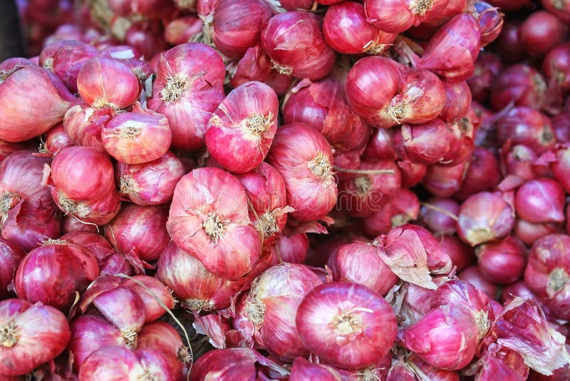 Textura De Chalotes En Fondo Foto de archivo - Imagen de receta, fresco ...