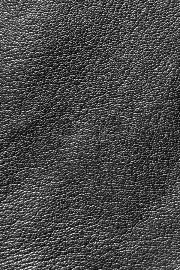 Textura de couro imagem de stock. Imagem de couro, closeup - 13192217