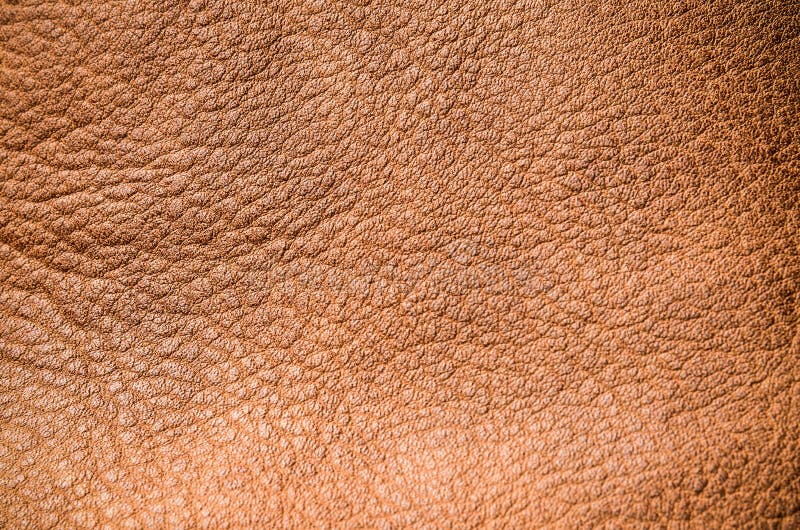 Textura de couro foto de stock. Imagem de tiro, wallpaper - 44138862