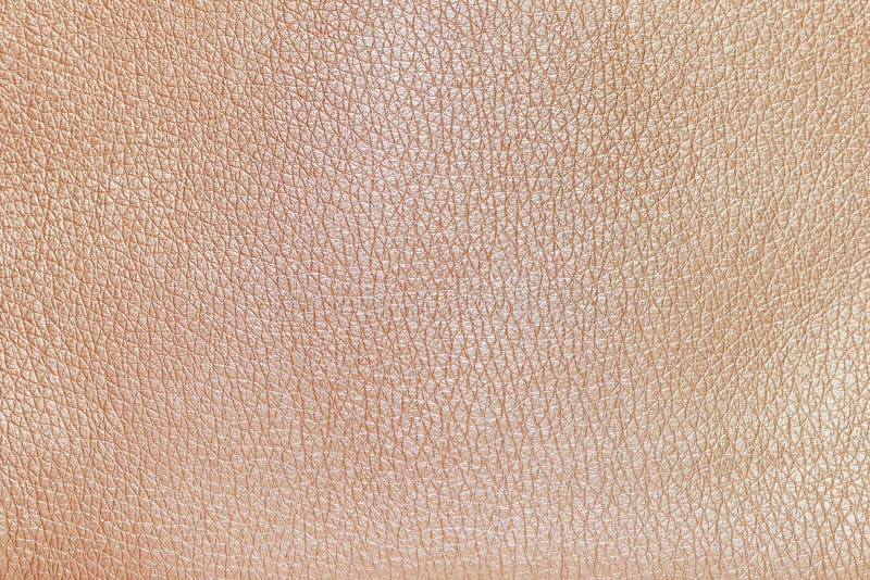 5,006 Textura De Couro Bege Fotos - Fotos de Stock Gratuitas e Fotos ...
