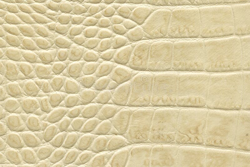 Textura de couro bege imagem de stock. Imagem de pele - 13696581