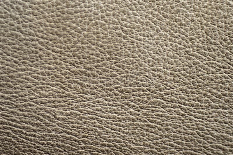 8,999 Textura De Couro Bege Fotos - Fotos de Stock Gratuitas e Fotos ...