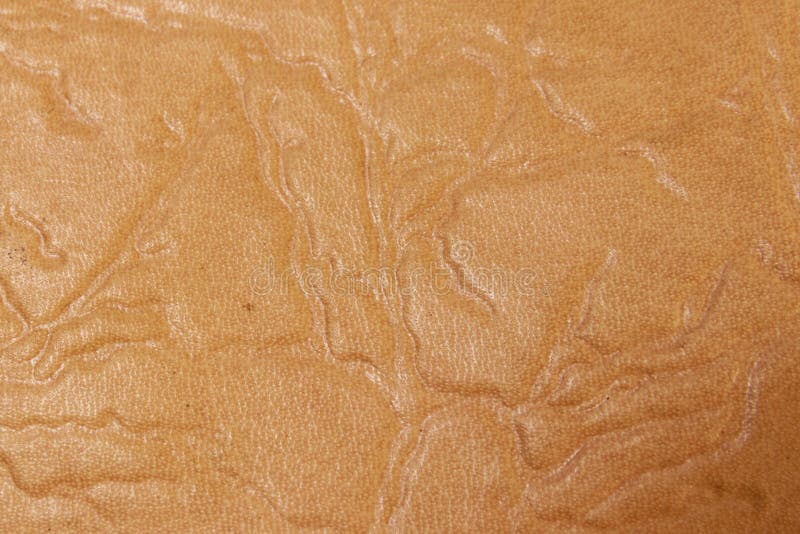 Textura De Couro Bege Para O Fundo Foto de Stock - Imagem de backdrop ...